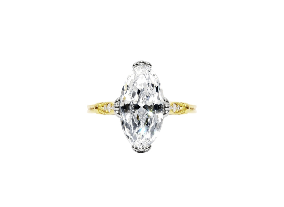 The Emerson Ring (3.5 Carat) – Everly Rings